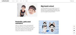 Cutout.pro: Full Product List and Descriptions (2024)