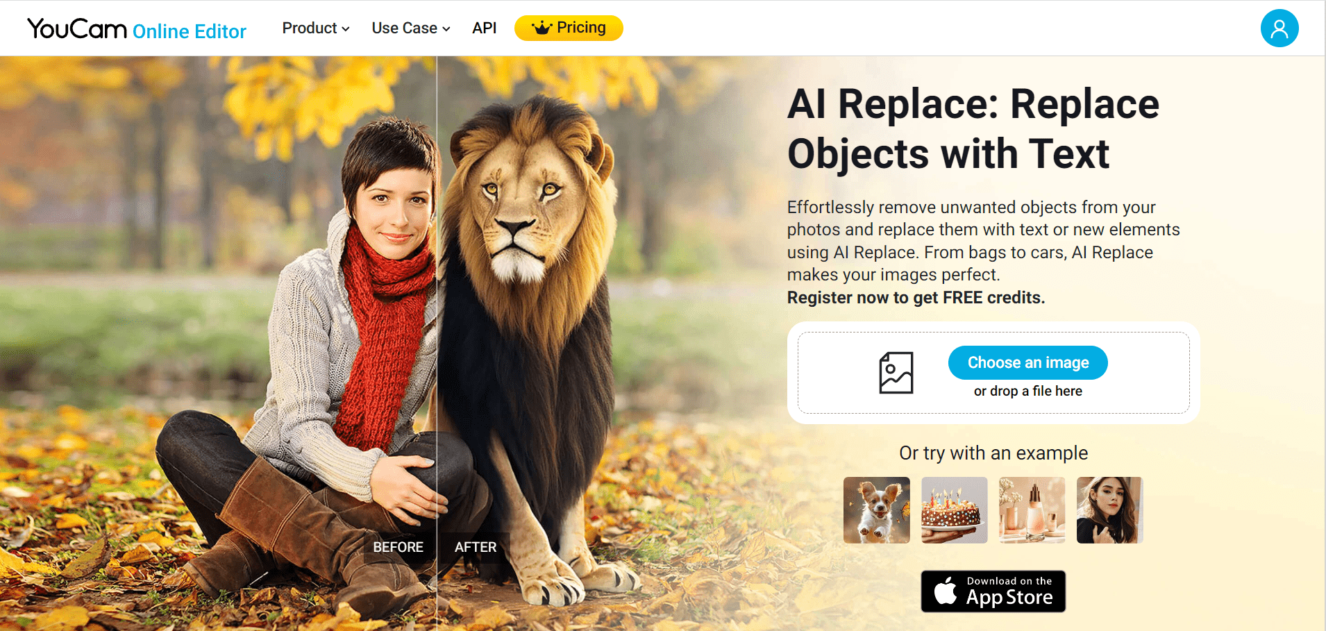 Best AI Replace Tools for 2024 | cutout.pro