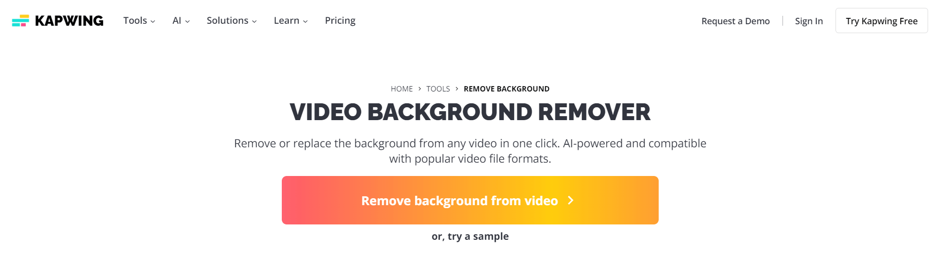 Best 7 AI Video Background Removers for 2024 | Cutout.pro