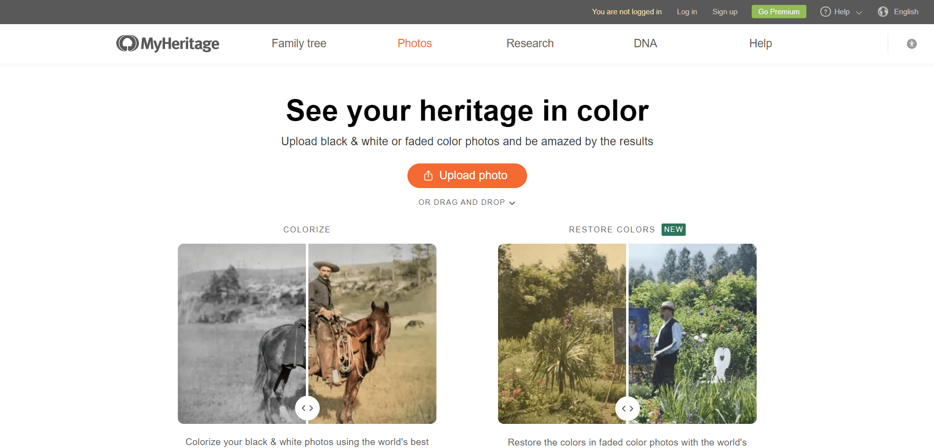 Best AI Photo Colorizers to Colorize Black and White Photos
