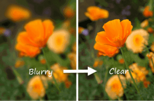 Fix Blurry Photos: How to Sharpen Without Overprocessing - Cutout.pro Blog